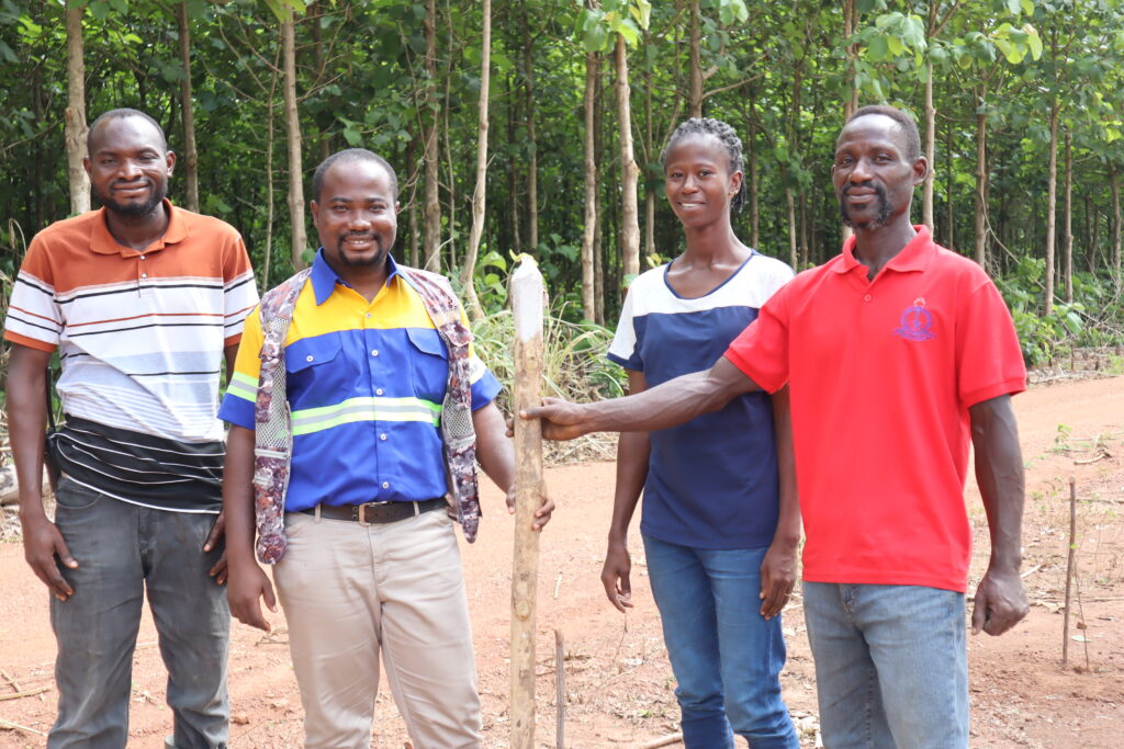 Forestry - Form Ghana