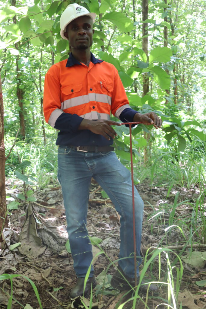 Forestry - Form Ghana