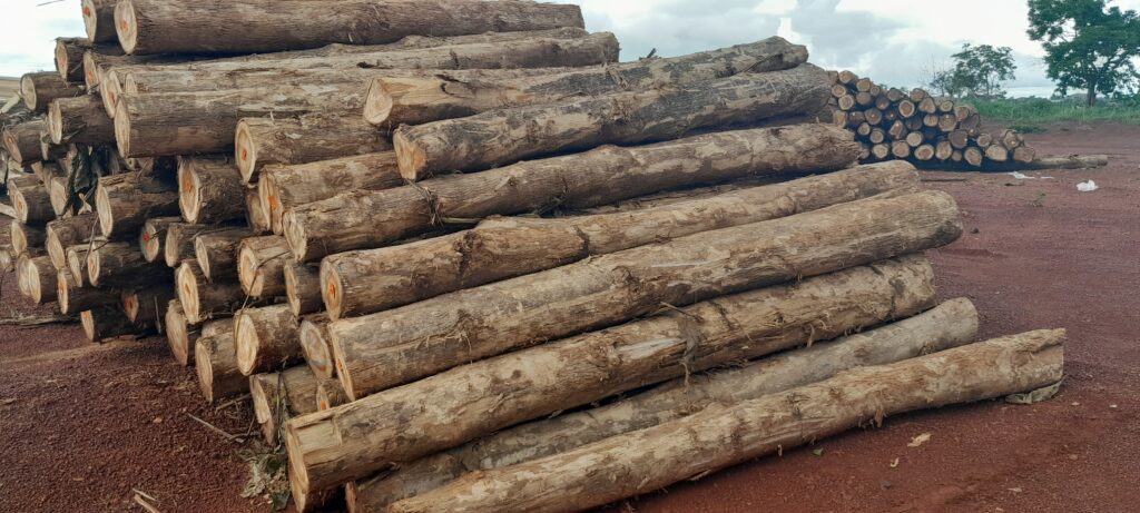 Products - Form Ghana